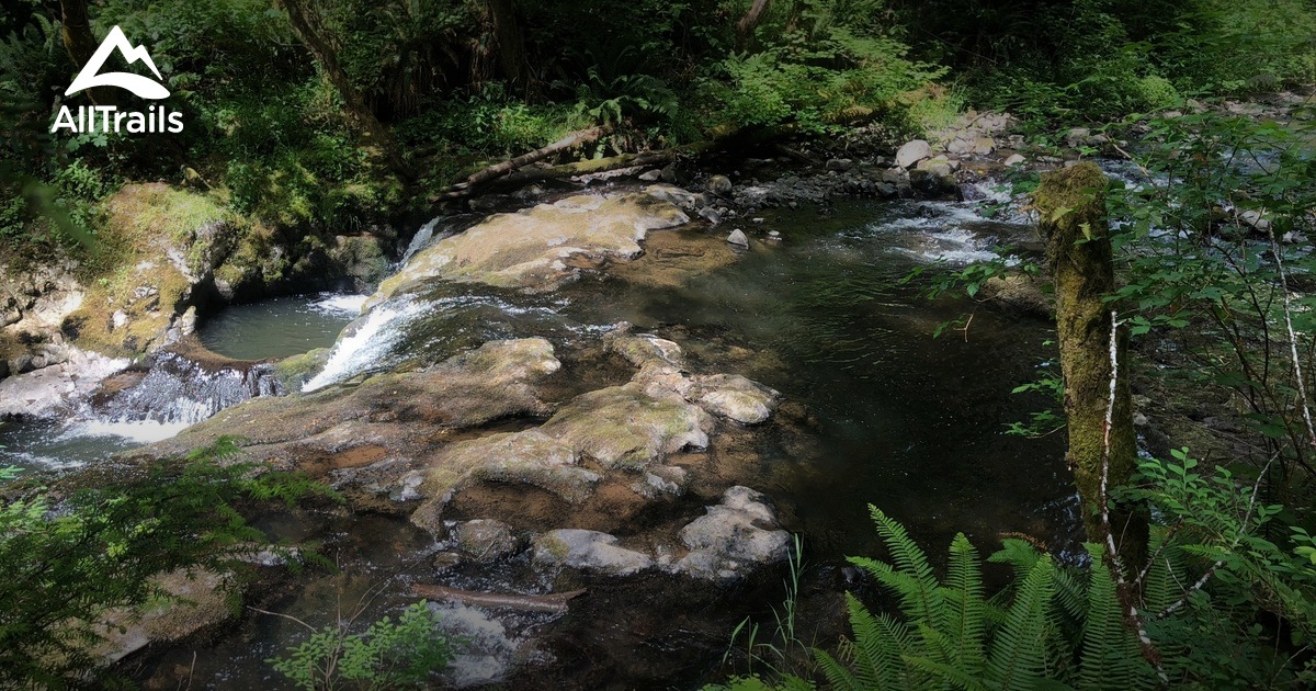 Best forest trails in Elma | AllTrails