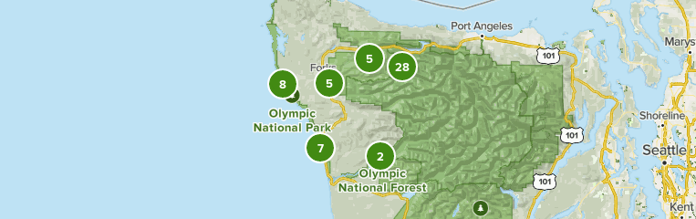 Best Trails near Forks, Washington | AllTrails