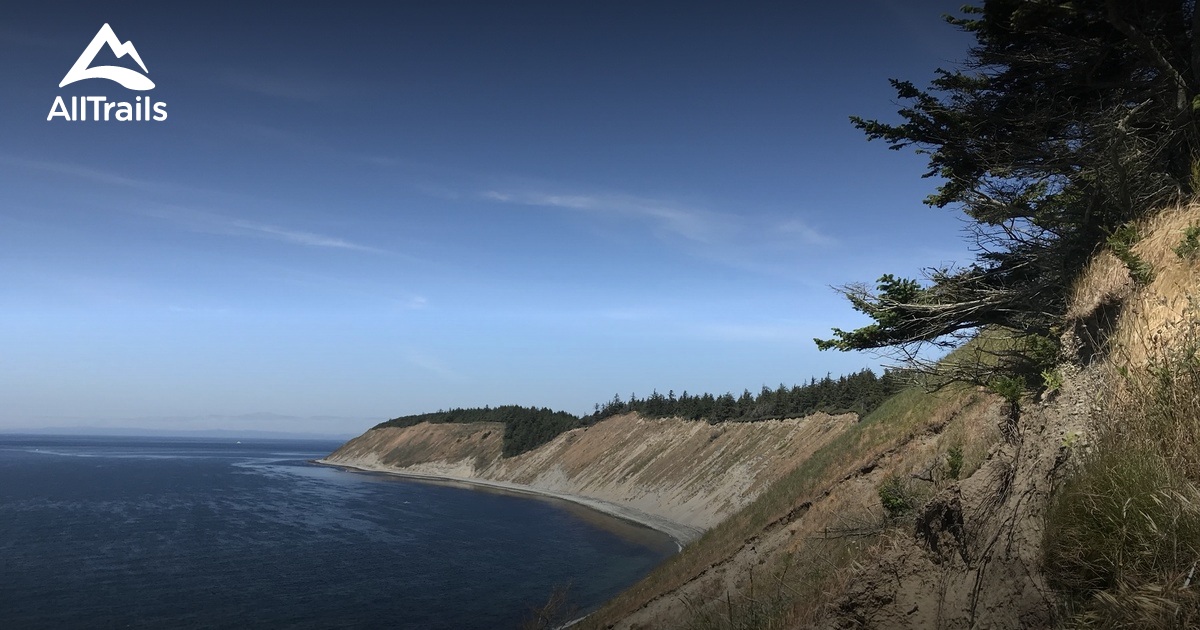 Best forest trails in Freeland | AllTrails