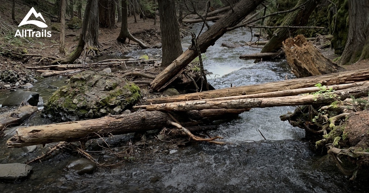 Best waterfall trails in Goose Prairie | AllTrails