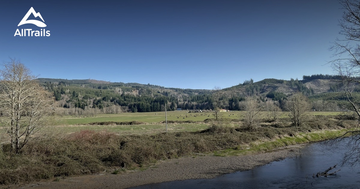 Best hikes and trails in Grays River | AllTrails