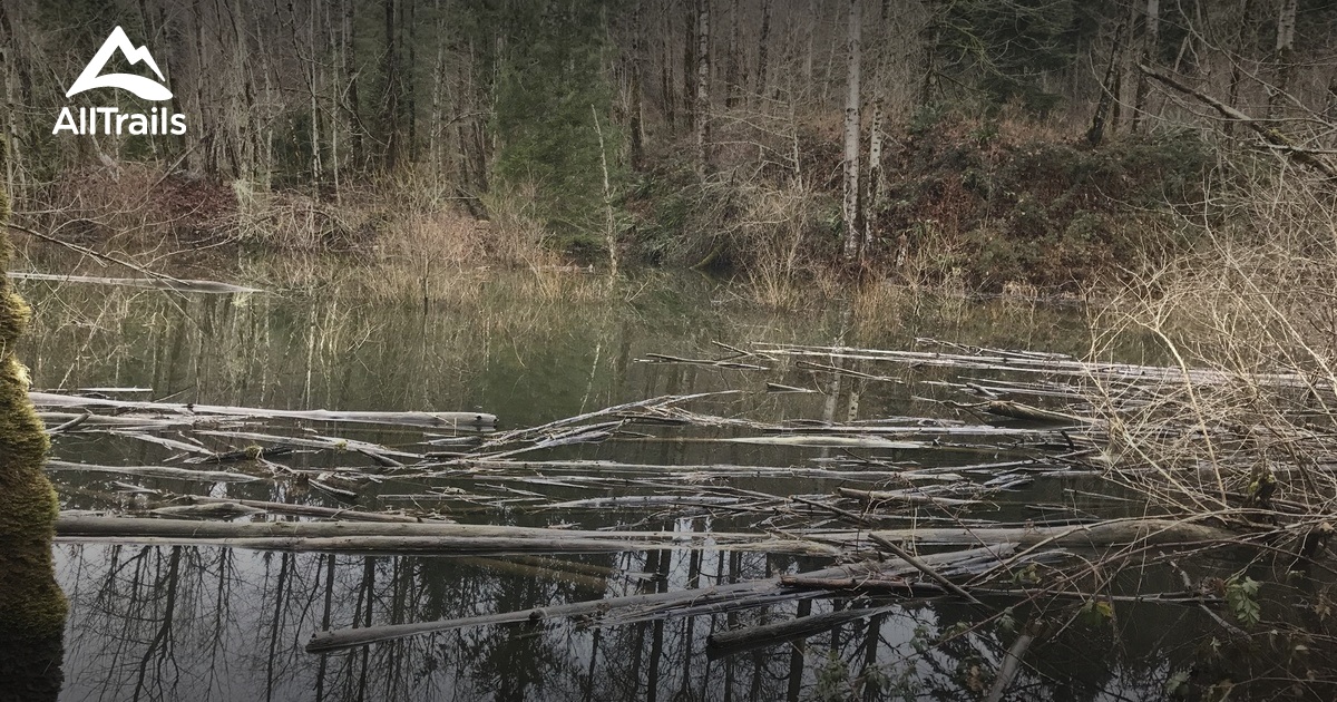 Best Trails near Hobart, Washington | AllTrails