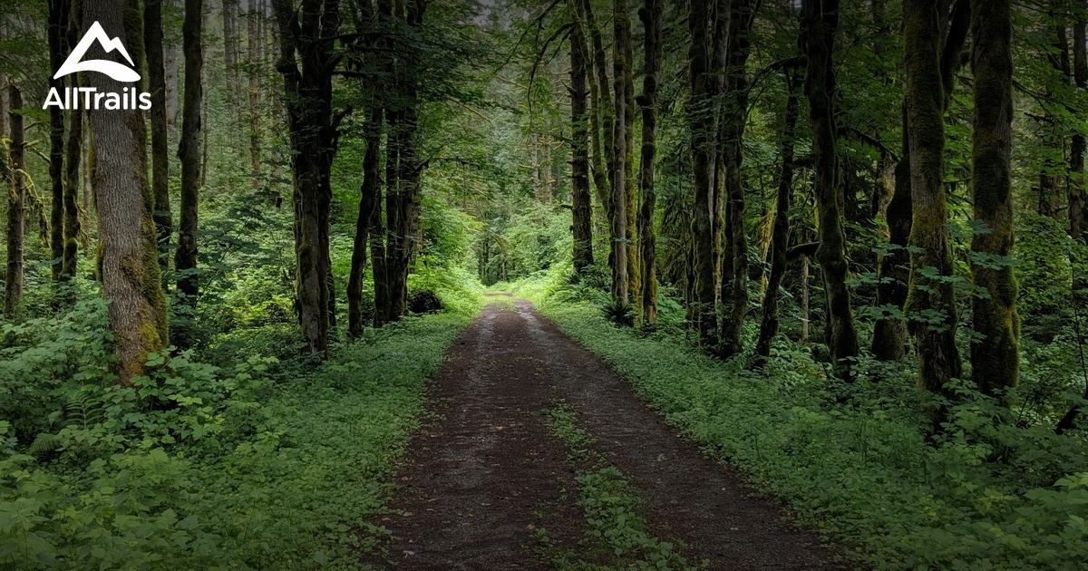 Best hikes and trails in Hobart | AllTrails