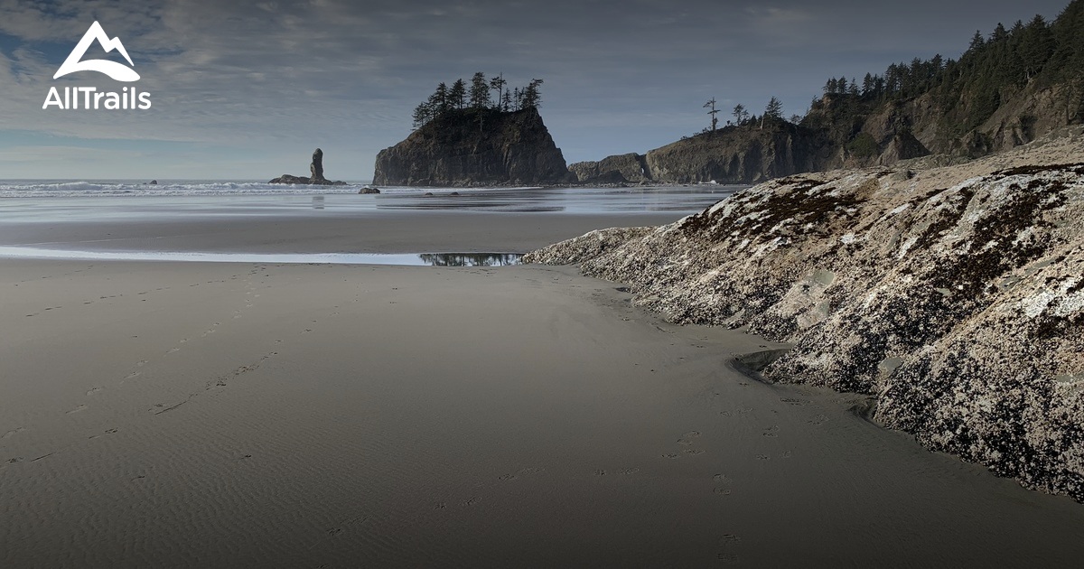 Best Trails near La Push, Washington | AllTrails
