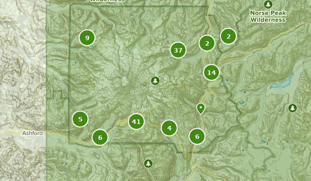 Best Trails near Longmire, Washington | AllTrails