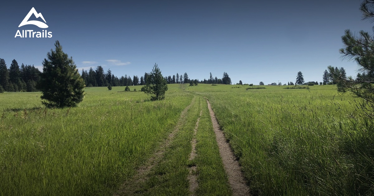 Best hikes and trails in Marshall | AllTrails