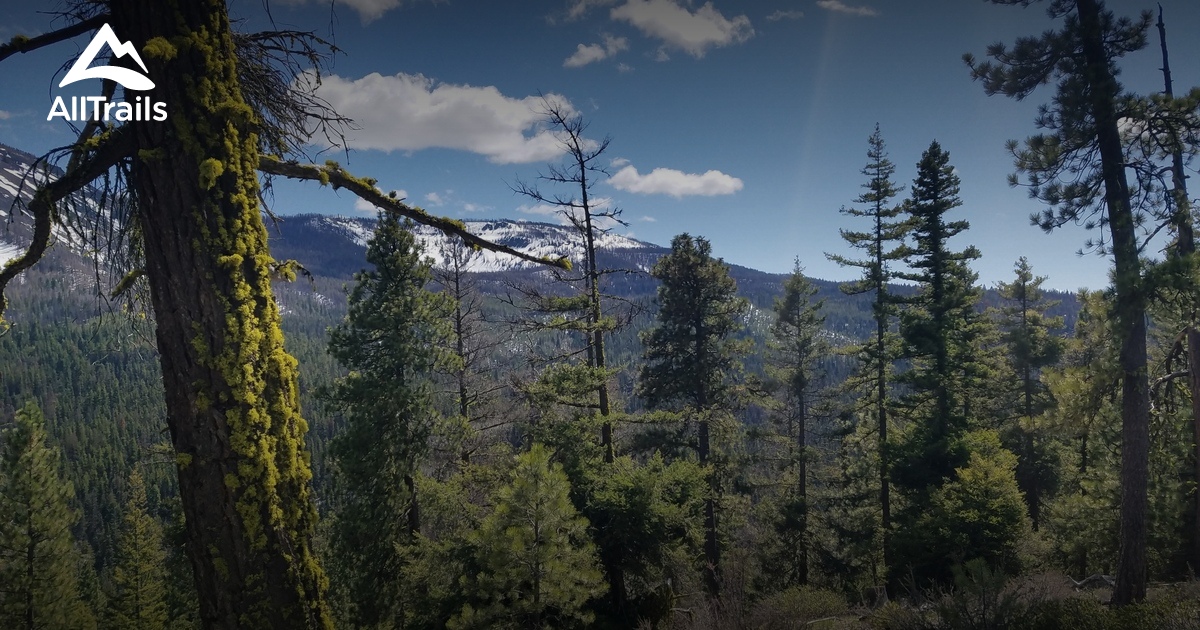 Best dogs on leash trails in Monitor | AllTrails