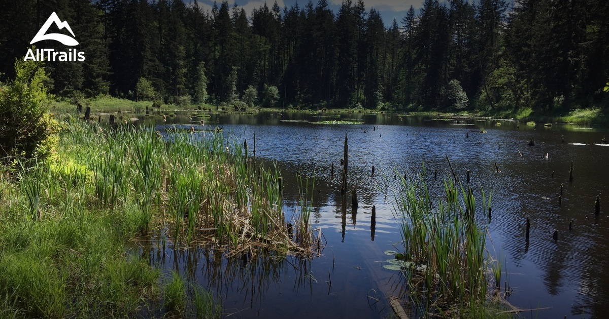 10 Best trails and hikes in Monroe | AllTrails