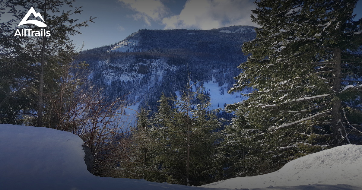 Best hikes and trails in Napavine | AllTrails