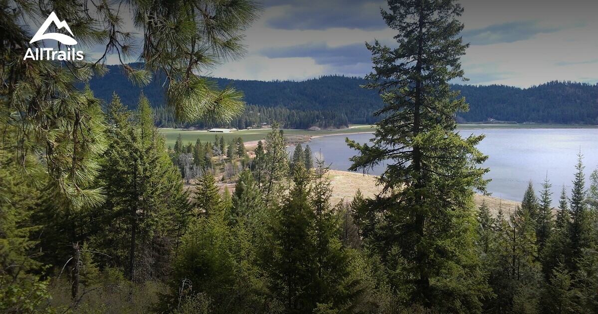 Best lake trails in Newman Lake | AllTrails