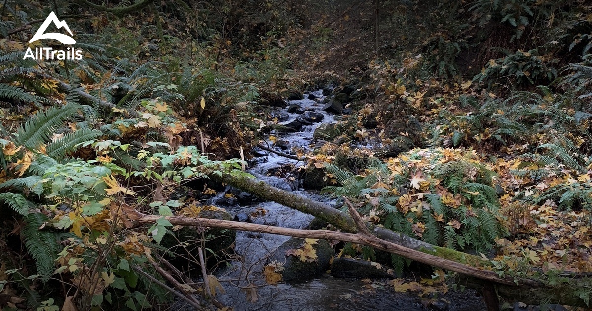 Best hikes and trails in Normandy Park | AllTrails