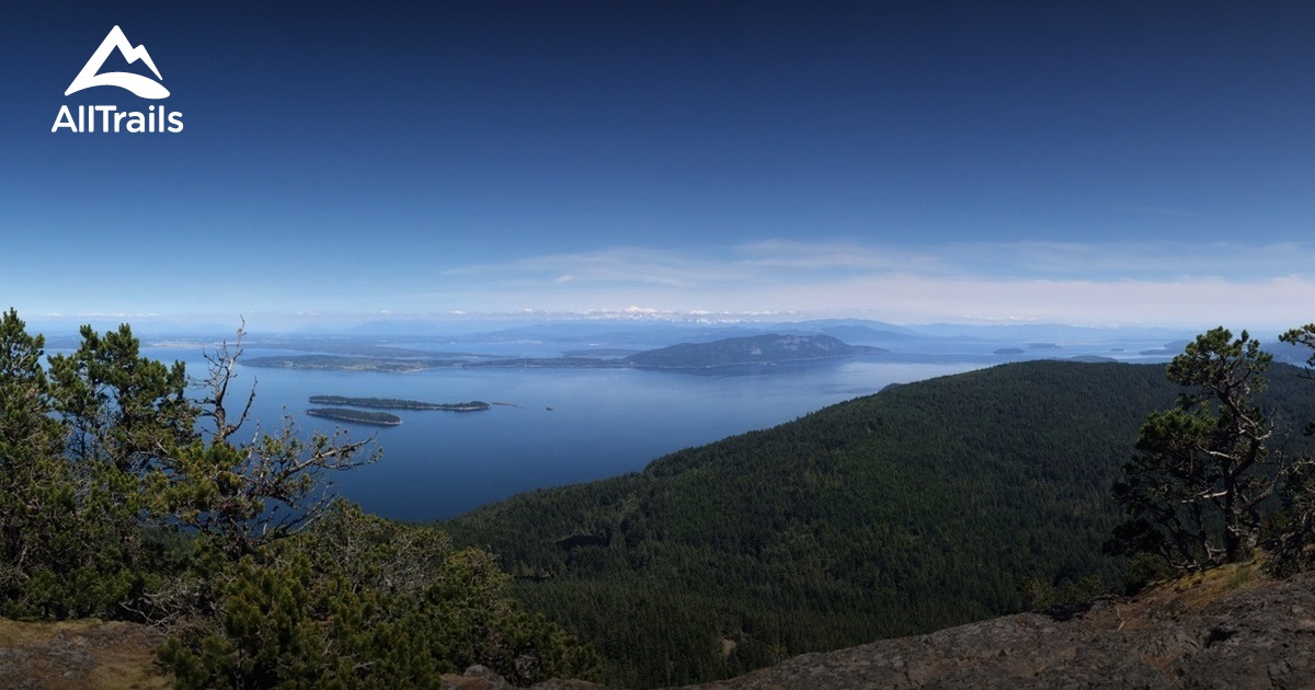 Best wildflower trails in Olga | AllTrails