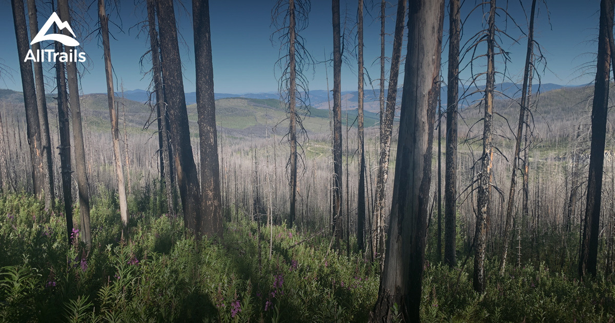 Best hikes and trails in Orient | AllTrails