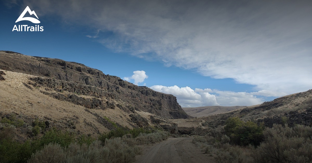 Best Forest Trails in Palisades | AllTrails