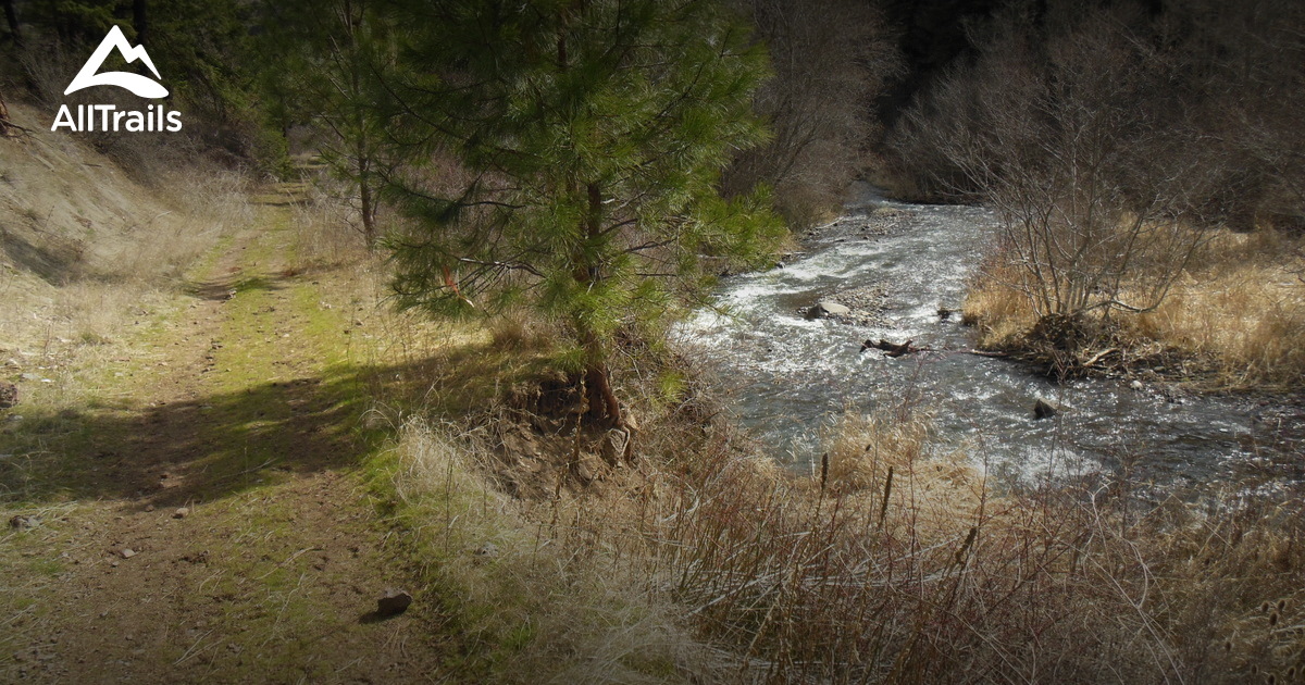 Best forest trails in Pomeroy | AllTrails