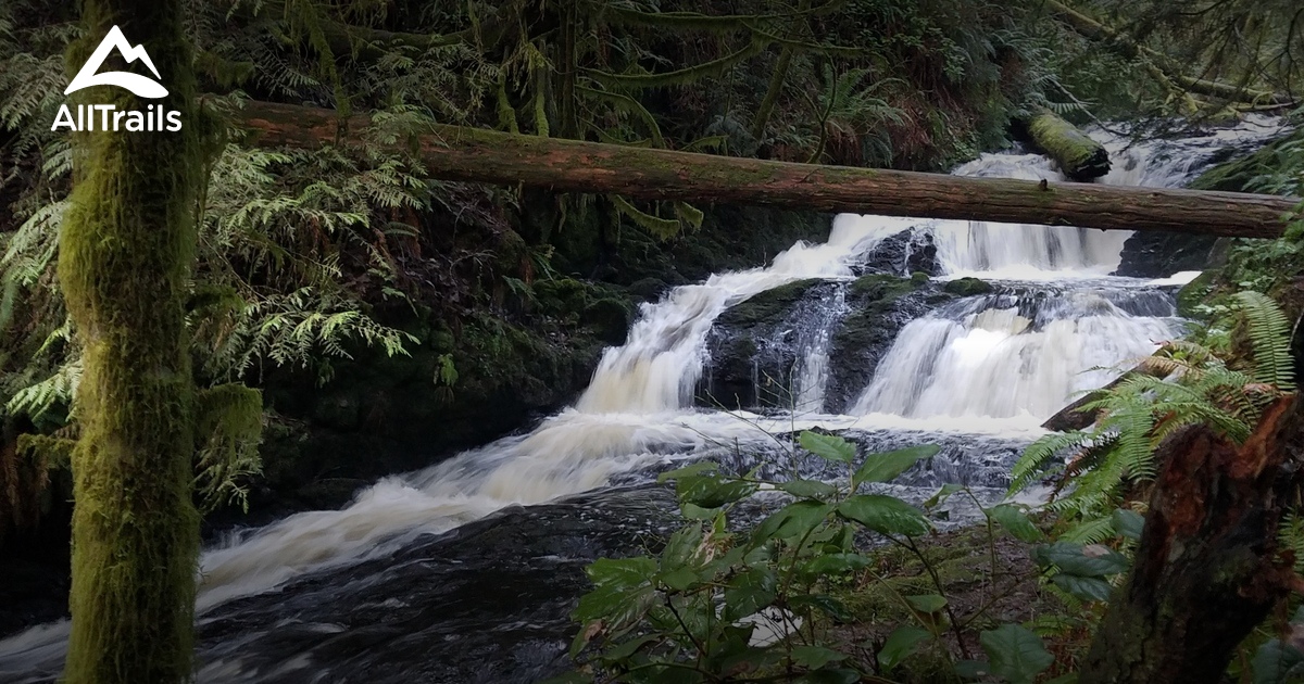 Best walking trails in Port Ludlow | AllTrails
