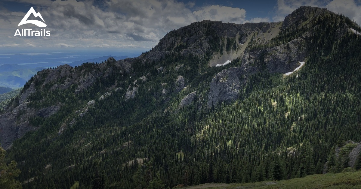 Best Trails near Quilcene, Washington | AllTrails