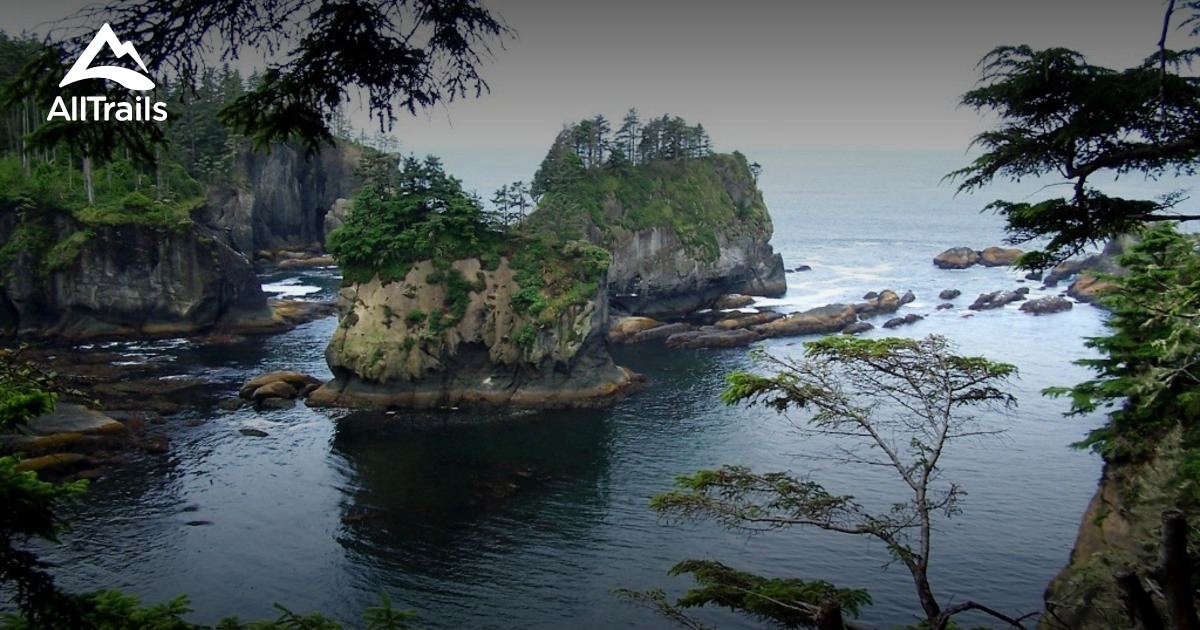 Best Trails near Sekiu - Washington | 355 Photos & 244 Reviews | AllTrails