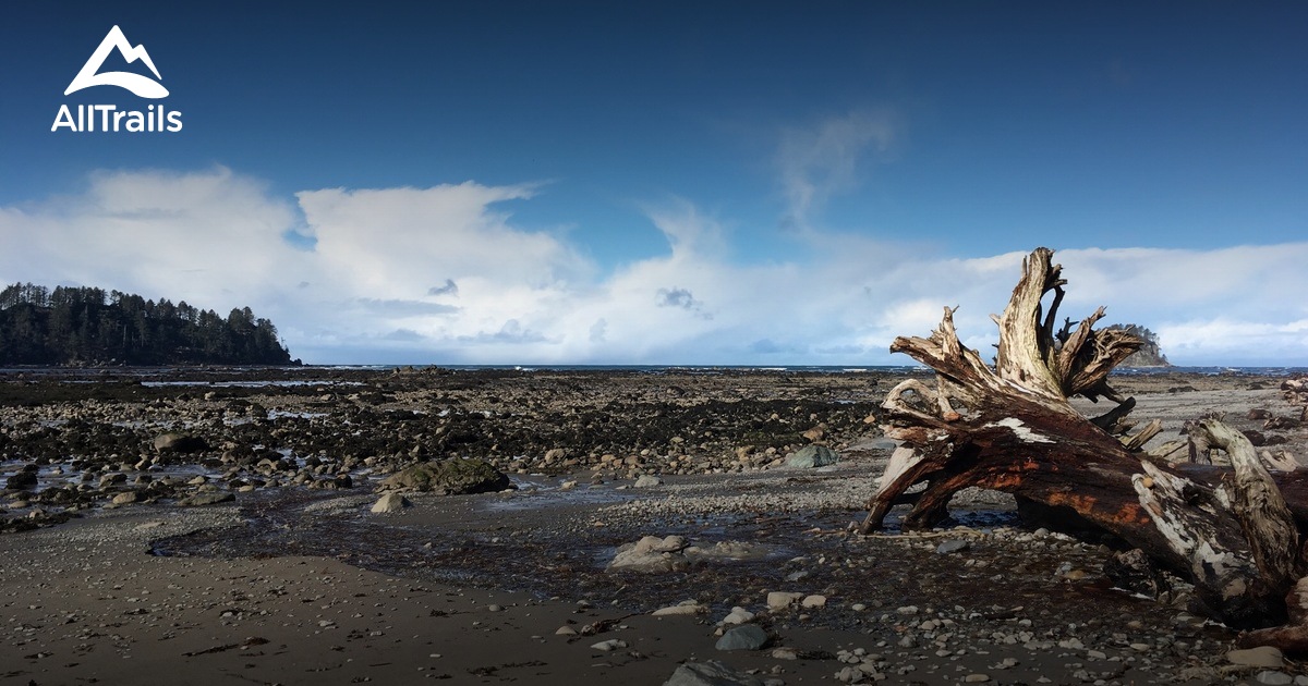 Best hikes and trails in Sekiu | AllTrails