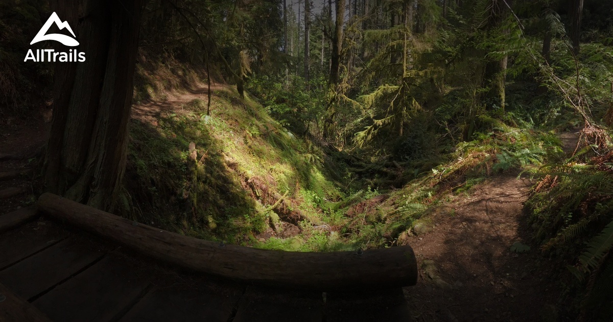 Best hikes and trails in Union | AllTrails