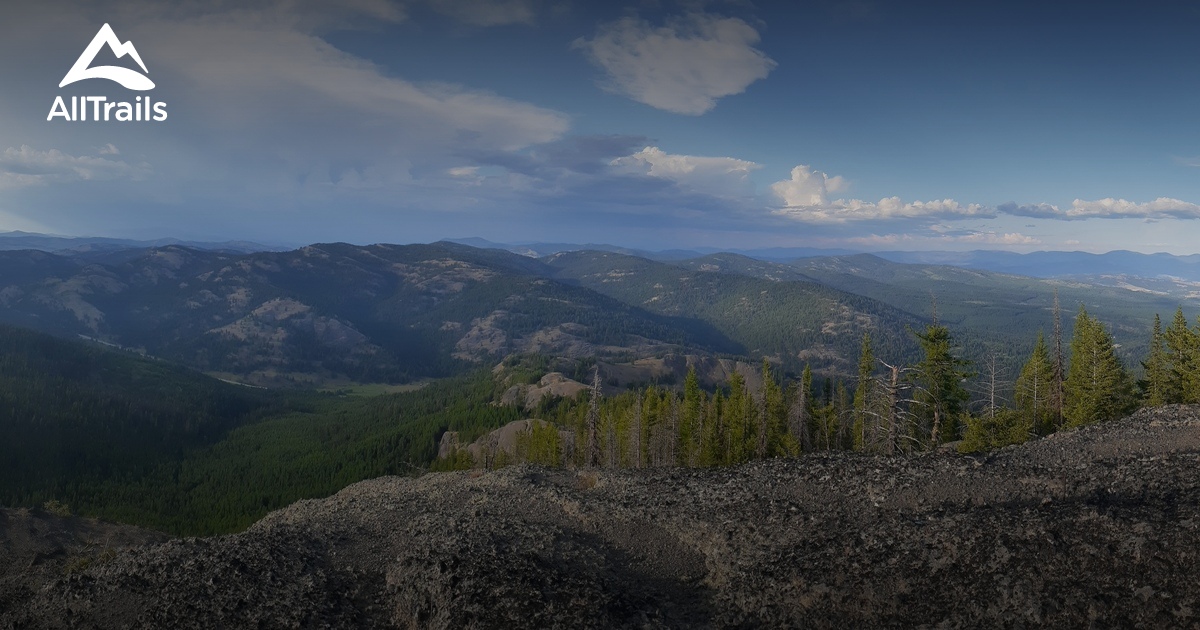 Best forest trails in Wauconda | AllTrails