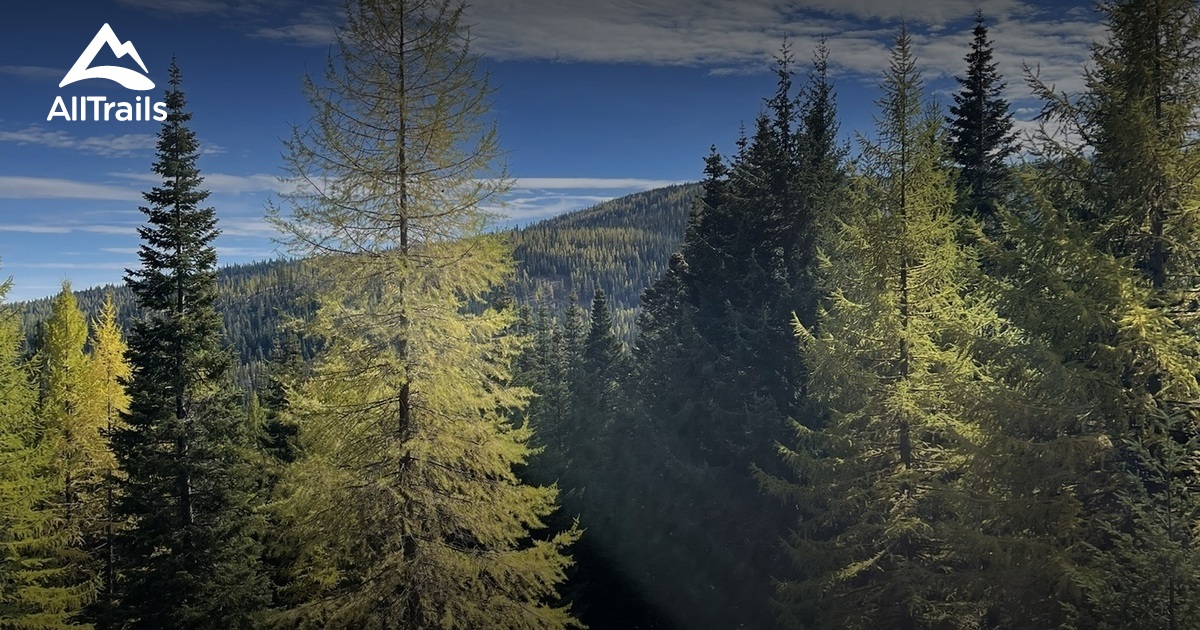 Best hikes and trails in White Swan | AllTrails