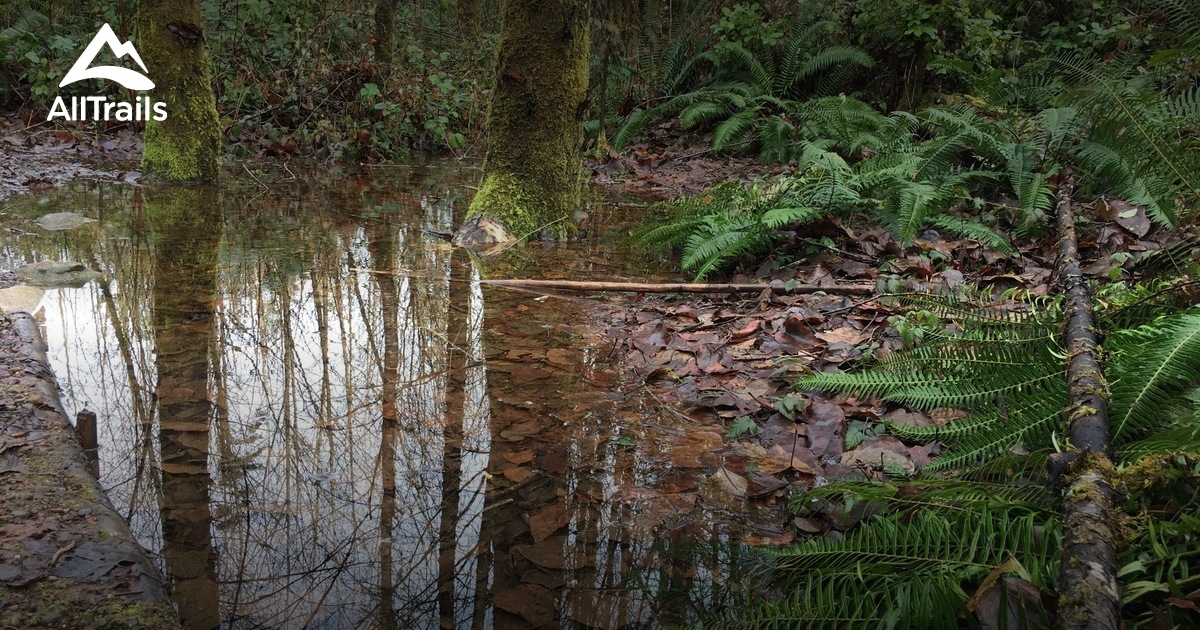 Best moderate trails in Woodinville | AllTrails