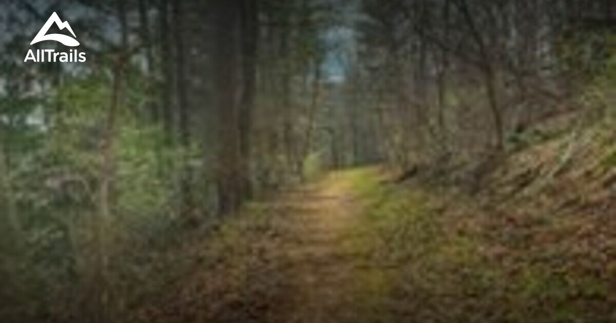 Best easy trails in Buckhannon | AllTrails