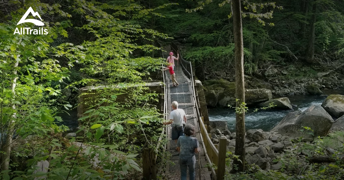 Best Trails near Danese, West Virginia | AllTrails