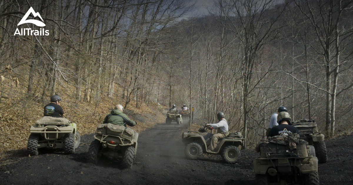 Best forest trails in Ethel | AllTrails