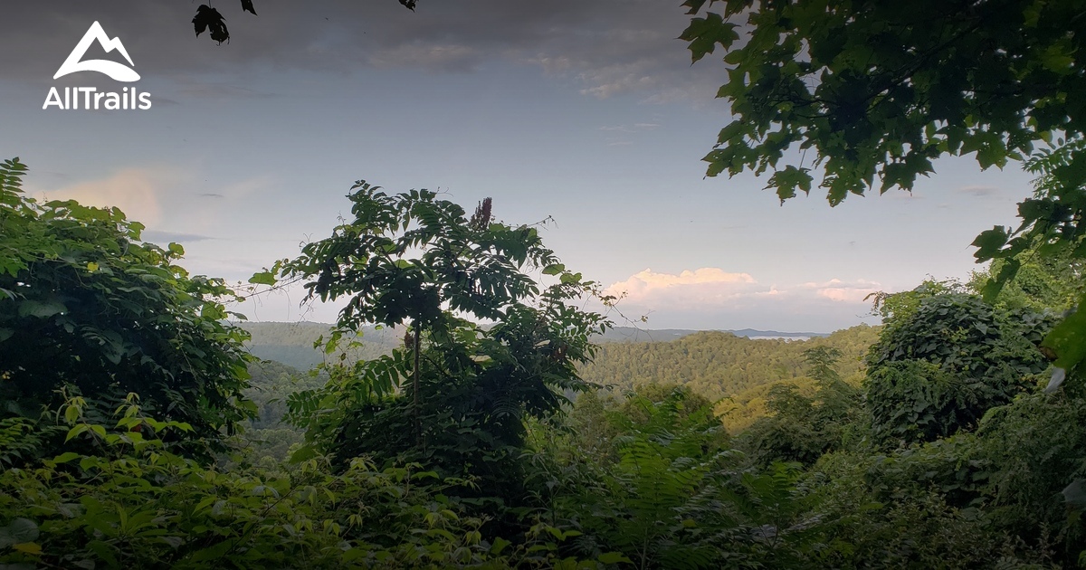 Best hikes and trails in Jacksonburg | AllTrails