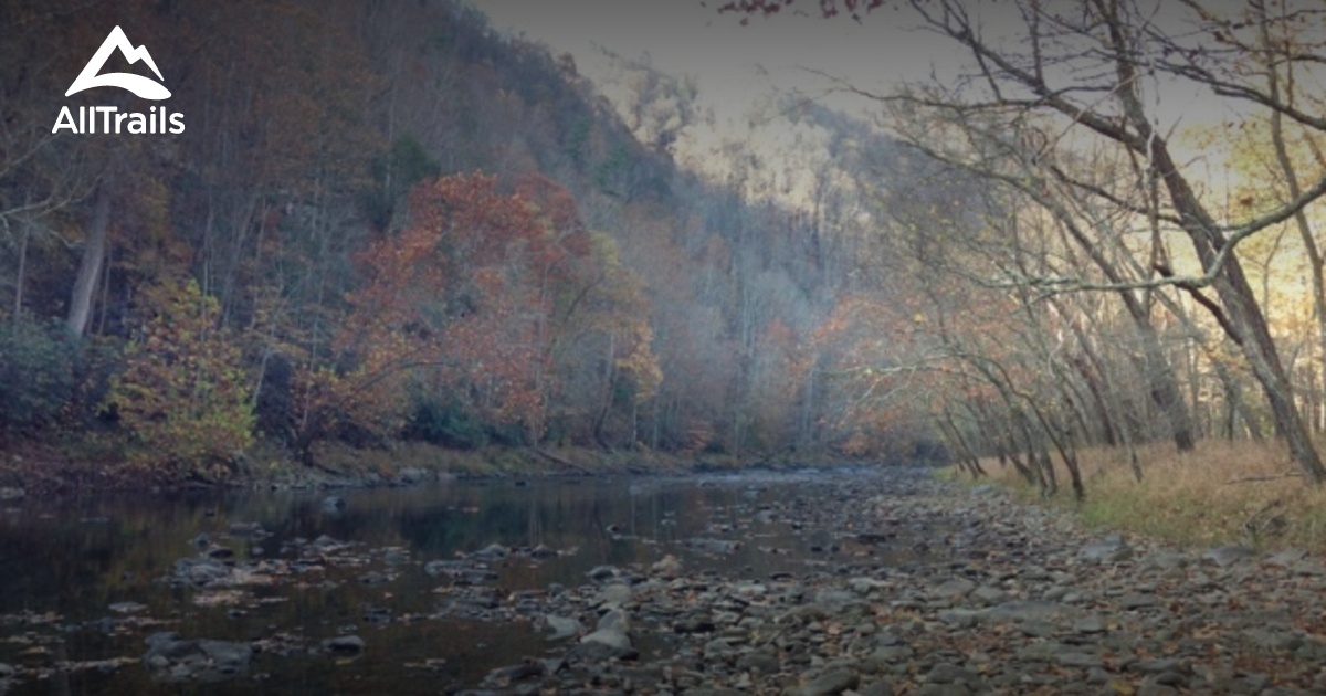 Best hikes and trails in Jumping Branch | AllTrails