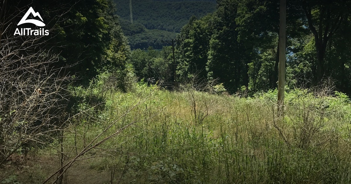 Best hikes and trails in Keyser | AllTrails