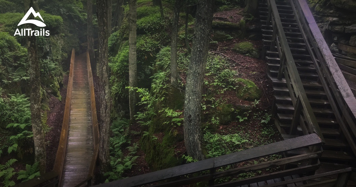 Best hikes and trails in Renick | AllTrails