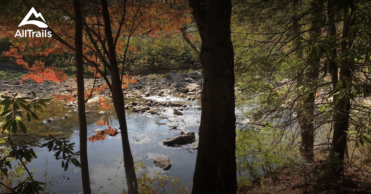 Best Kid Friendly Trails in Richwood | AllTrails