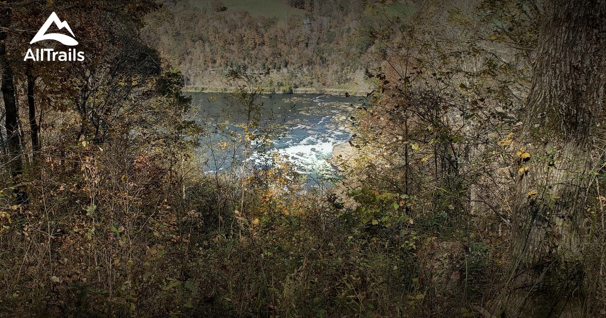 I migliori sentieri nei boschi in Sandstone | AllTrails