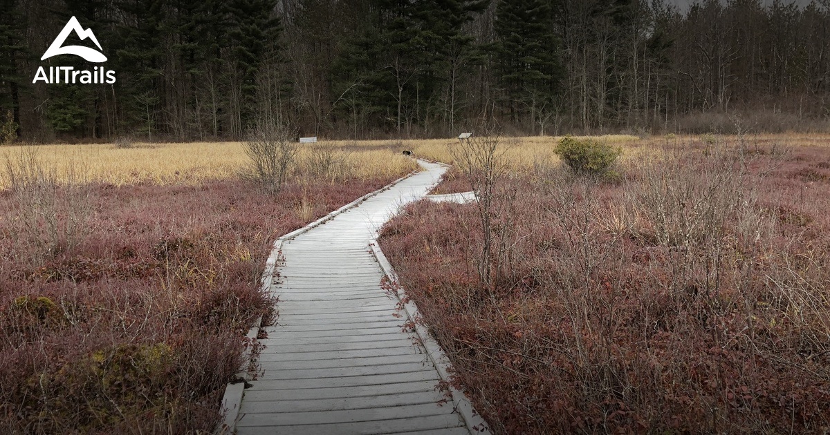 Bedste gåruter i Terra Alta | AllTrails