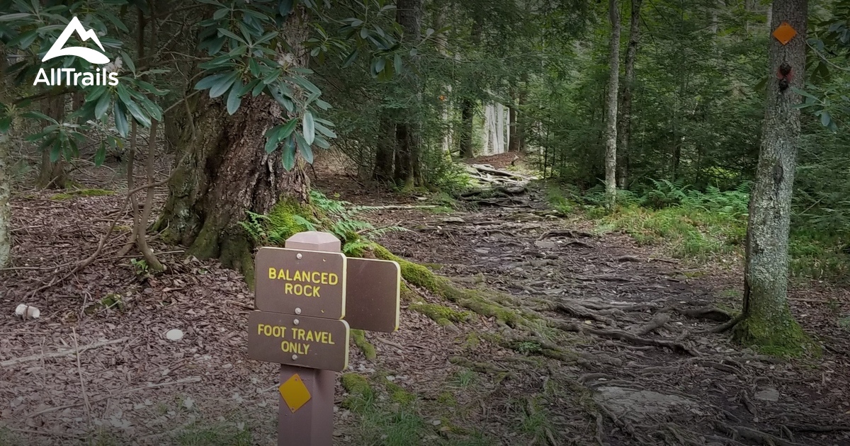 Thomas: as melhores trilhas fáceis | AllTrails