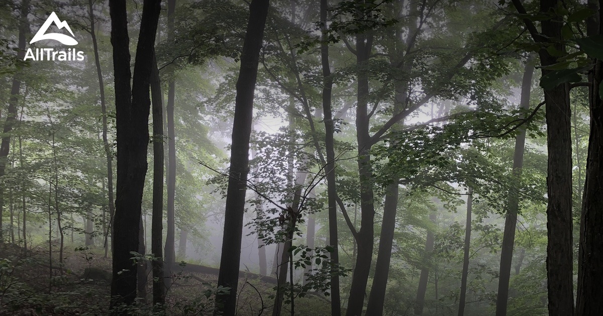 Best hikes and trails in Winfield | AllTrails