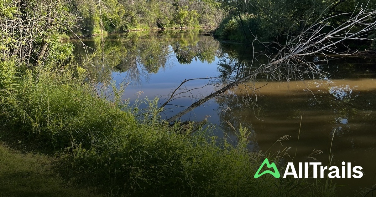 Best kid-friendly trails in Allouez | AllTrails