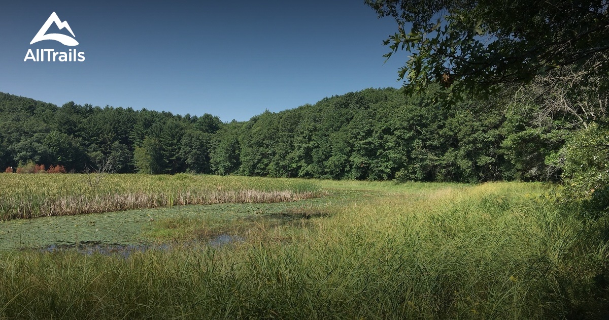 Best hikes and trails in Amherst | AllTrails