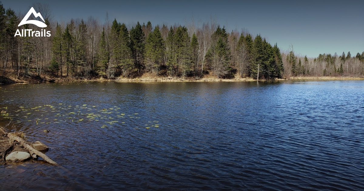 Best hikes and trails in Bruce | AllTrails