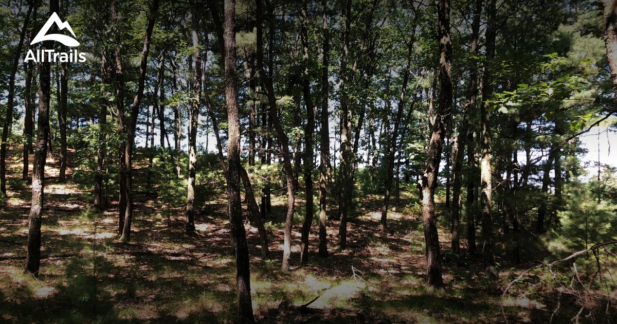 Best hikes and trails in City Point | AllTrails
