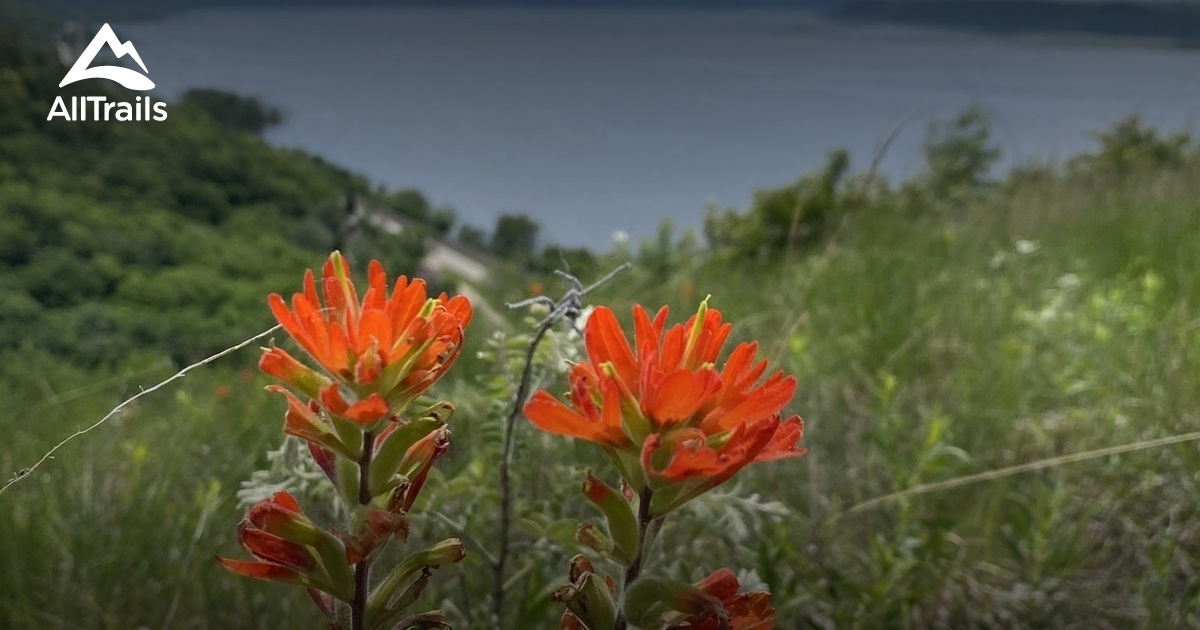 Best hikes and trails in Ferryville | AllTrails