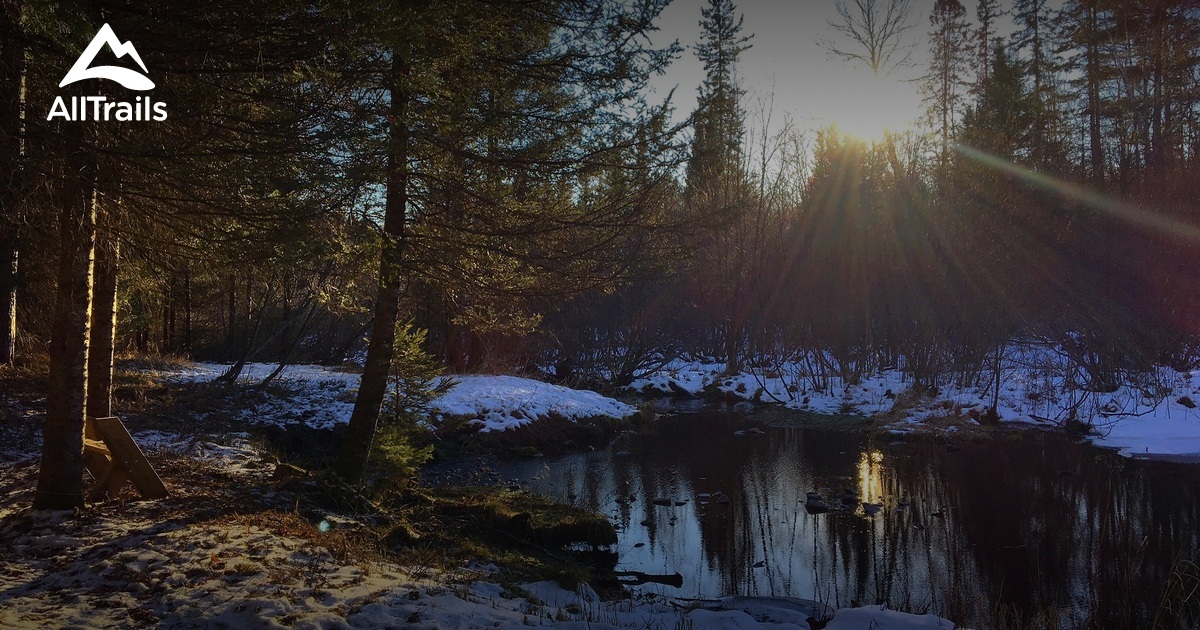 Best river trails in Gleason | AllTrails