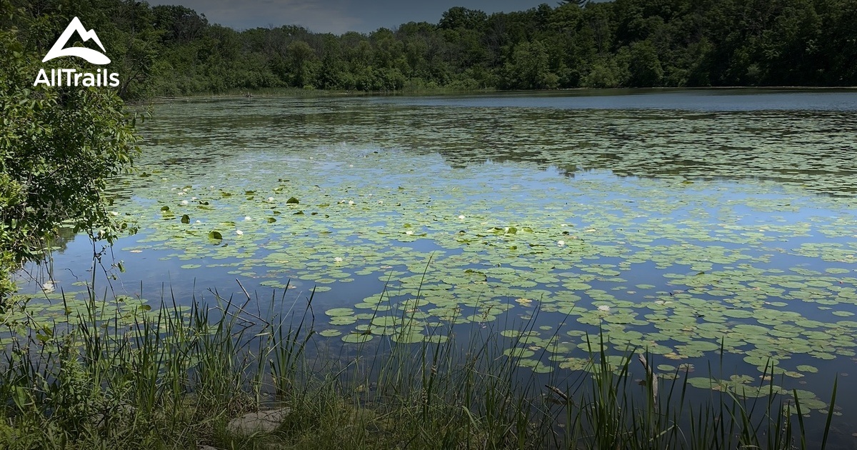 Best hikes and trails in Greendale | AllTrails