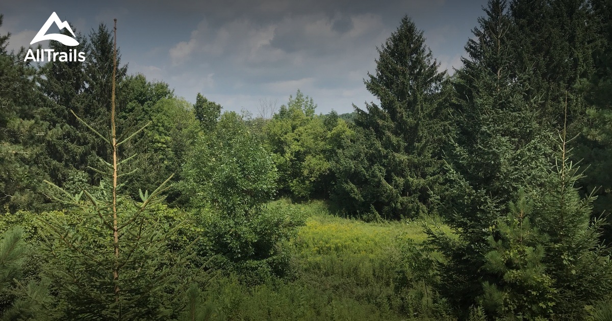 Best hikes and trails in Hubertus | AllTrails