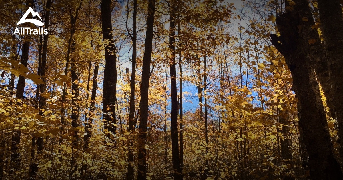 Best hikes and trails in Iron River | AllTrails