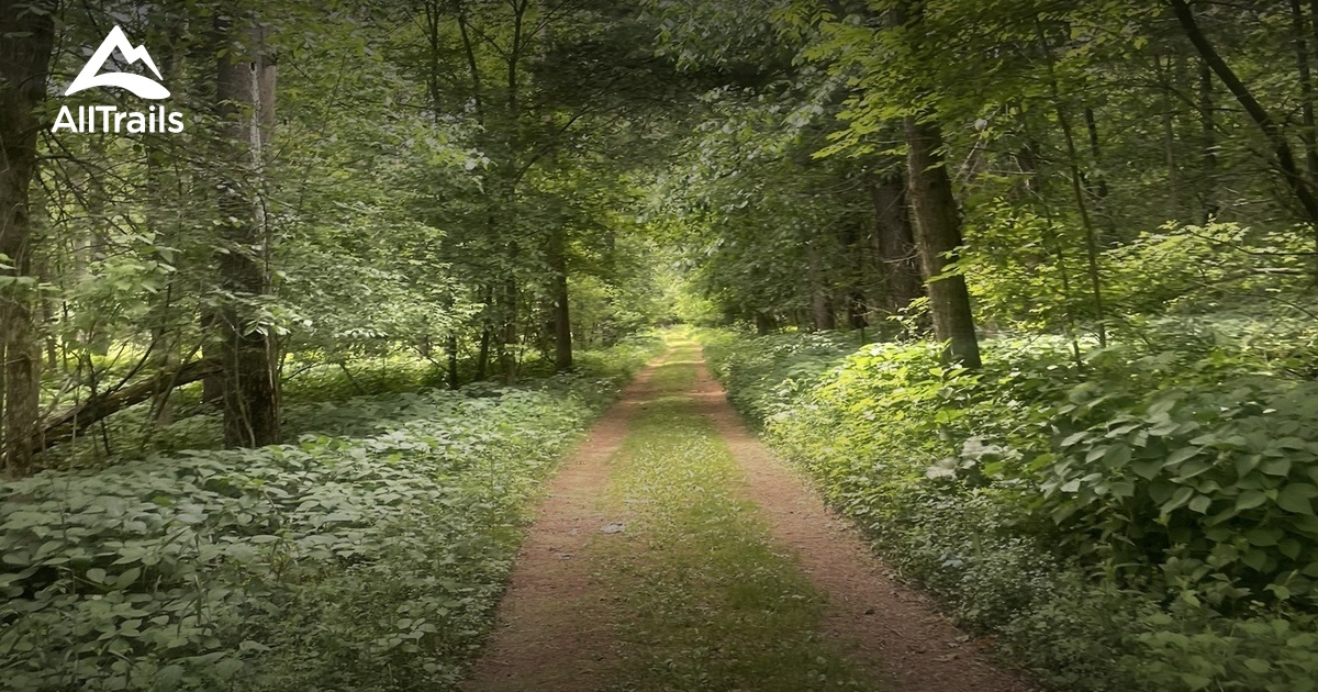 Best hikes and trails in Knapp | AllTrails