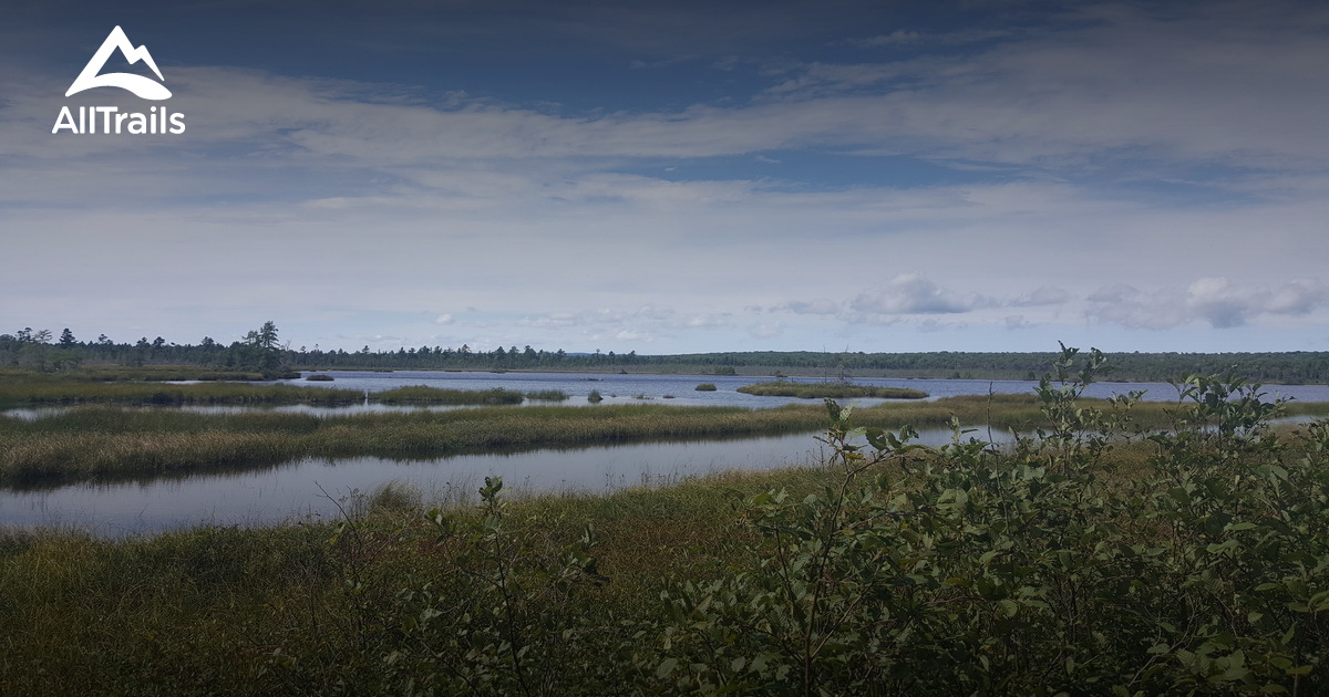 Best hikes and trails in La Pointe | AllTrails